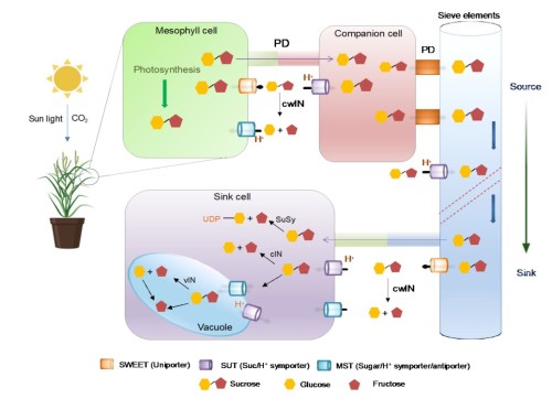 Qaq (qaq) - CDN加速图床-路过图床-国内图床-Hello图床 -免费图片生成连接外链工具